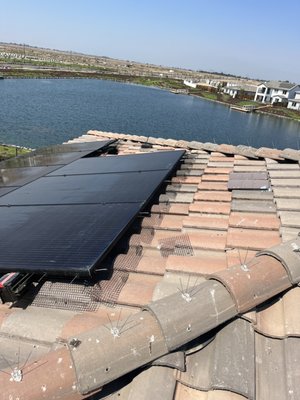 BIRD PROOF 【53 Photos & 22 Reviews】 2194 Mozart Ave, Lathrop ...