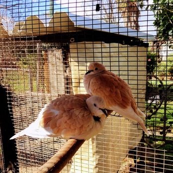 MAGNOLIA BIRD FARM - Updated December 2025 - 155 Photos & 210 Reviews ...