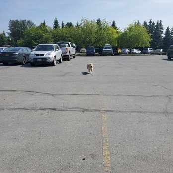 Z J LOUSSAC PUBLIC LIBRARY - Updated November 2025 - 44 Photos & 29 ...