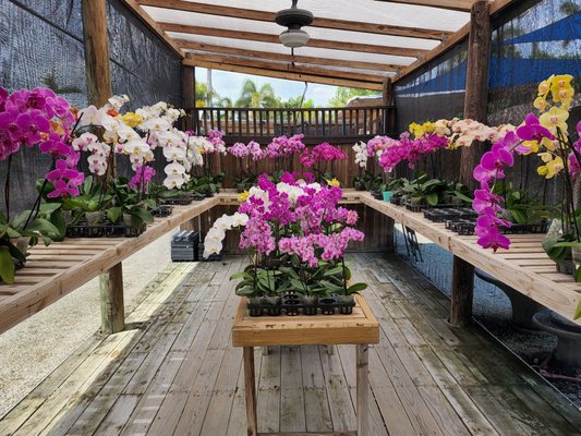 ISAAC FARMS - 446 Photos & 105 Reviews - 18800 SW 177th Ave, Miami, FL ...