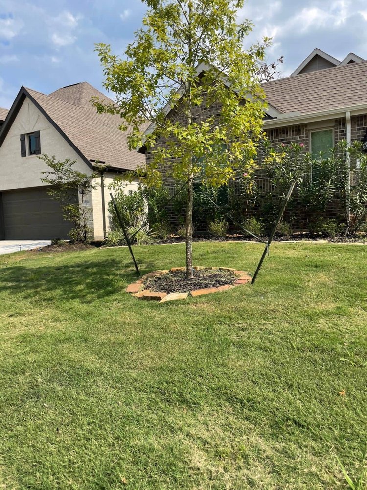 VIX LANDSCAPING - Updated December 2025 - Request a Quote - 30 Photos ...