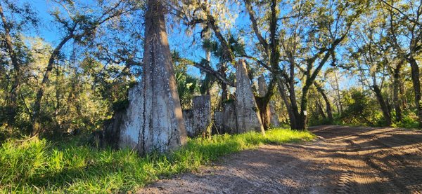 ARCADIA PEACE RIVER CAMPGROUND - Updated December 2025 - 79 Photos & 51 ...