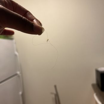 PCC COMMUNITY MARKETS - ISSAQUAH - Updated December 2025 - 106 Photos ...