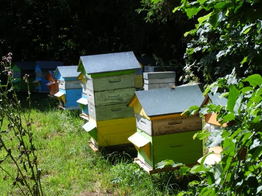 LE RUCHER DES 2 LACS - Updated July 2025 - Lieu-dit L'abbaye ...