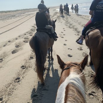 EQUINE ADVENTURES - Updated August 2025 - 69 Photos & 42 Reviews ...