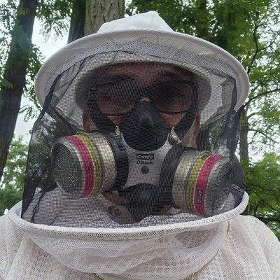 WEIR VILLAGE PEST CONTROL - Updated December 2025 - Taunton ...