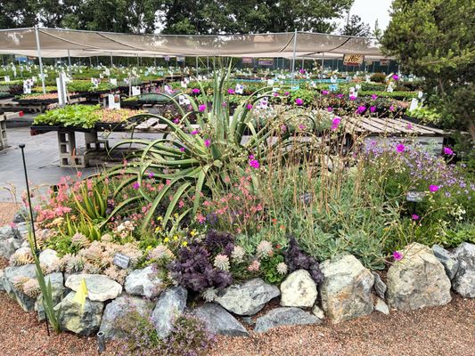 CURIOUS FLORA NURSERY - Updated May 2025 - 21 Reviews - 740 Market Ave ...