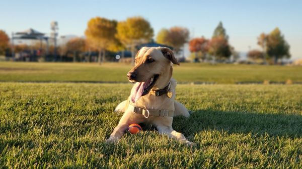 NEVADA TRAILS PARK - Updated November 2024 - 121 Photos & 38 Reviews ...