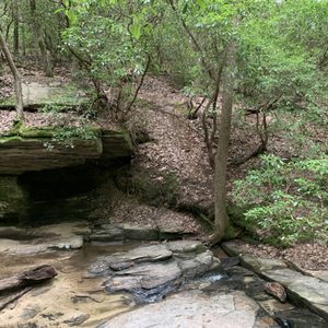 CHEROKEE BLUFFS PARK - 83 Photos - 5867 Blackjack Rd, Flowery Branch ...