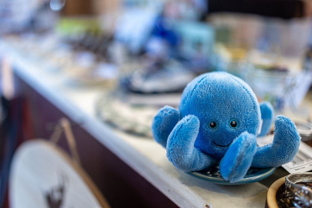 THE PURPLE BABOON - Updated December 2025 - 13 Photos - 31 Front St ...