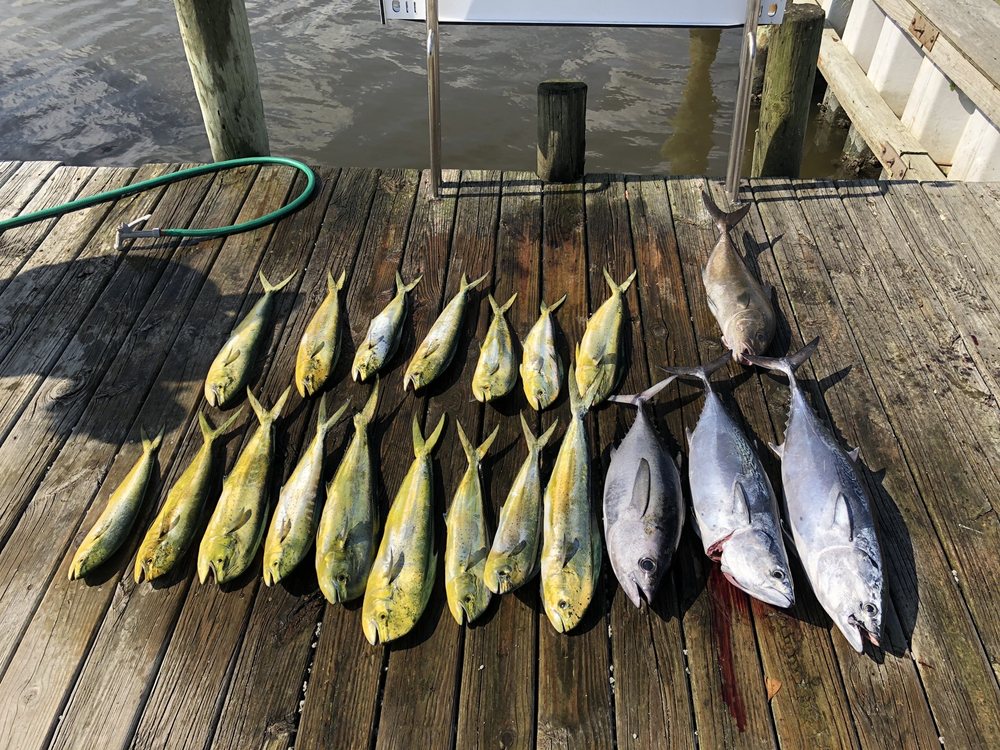 PELAGIC HUNTER SPORTFISHING - Updated October 2025 - 123 Page St ...