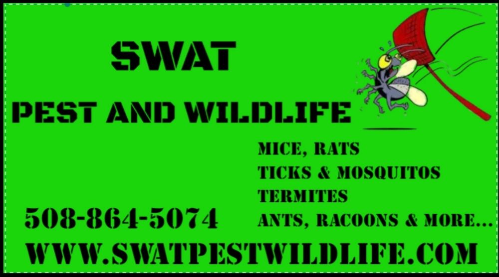 SWAT PEST AND WILDLIFE - Updated October 2025 - 31 Photos - Oxford ...