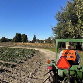 PICHA FARMS - Updated January 2026 - 72 Photos & 39 Reviews - 6502 52nd ...