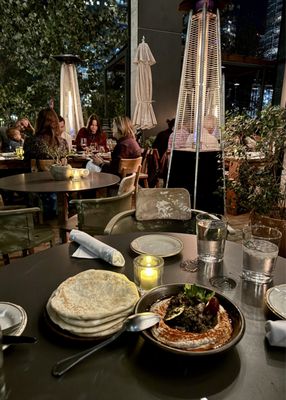 PEACOCK - Updated April 2025 - 873 Photos & 389 Reviews - 600 Proper ...