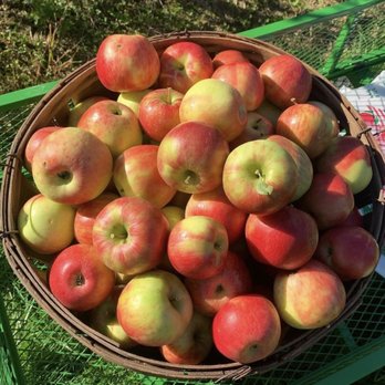 RUSSELL FARMS - Updated December 2025 - 29 Photos & 13 Reviews - 1488 ...