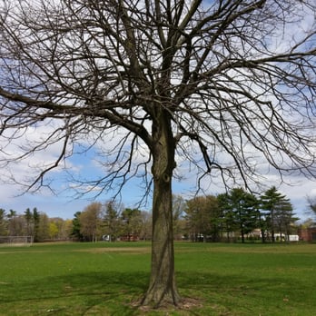 CANTIAGUE PARK - Updated July 2025 - 51 Photos & 30 Reviews - 480 W ...