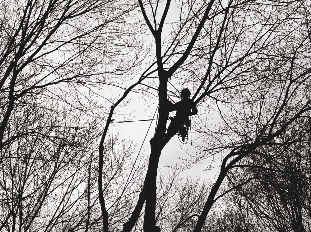 STS ARBORISTS - Updated October 2025 - 21 Photos - 621 Snake Path Rd, Somerset, Pennsylvania ...