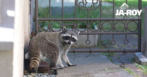 JA-ROY PEST CONTROL - Updated October 2025 - 15 Photos & 15 Reviews ...