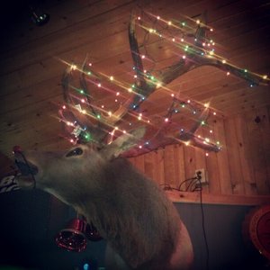 MONOWI TAVERN - 11 Photos - 9 Broad St, Lynch, NE - Yelp