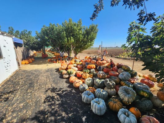 BERRY BEST FARM - Updated October 2025 - 51 Photos & 60 Reviews - 7450 ...