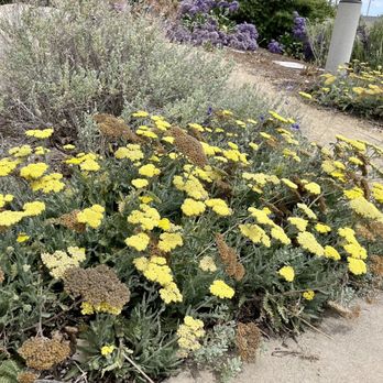 WATERWISE COMMUNITY CENTER - Updated July 2025 - 64 Photos & 15 Reviews ...