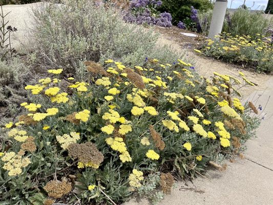 WATERWISE COMMUNITY CENTER - 34 Photos & 10 Reviews - Montclair ...