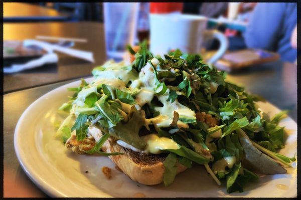 THE RED CUP - 416 Photos & 311 Reviews - 3122 N Classen Blvd, Oklahoma ...