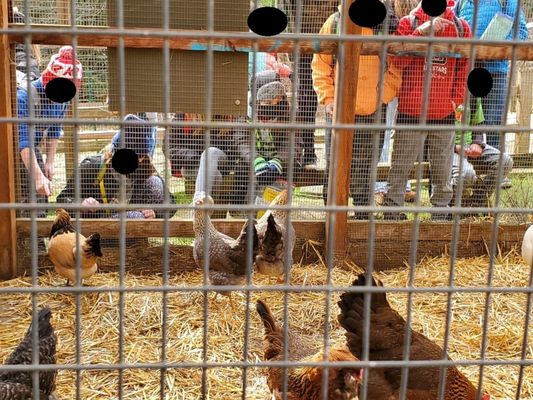 YMCA CAMP SEYMOUR - Updated August 2024 - 30 Photos - 9725 Cramer Rd NW ...