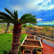 MOVE 4 LESS - 425 Photos & 601 Reviews - 6630 Arroyo Springs St, Las ...