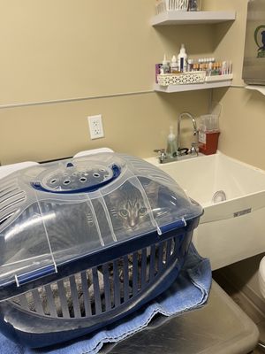 STEVENS ANIMAL HOSPITAL - Updated March 2025 - 29 Photos & 58 Reviews ...