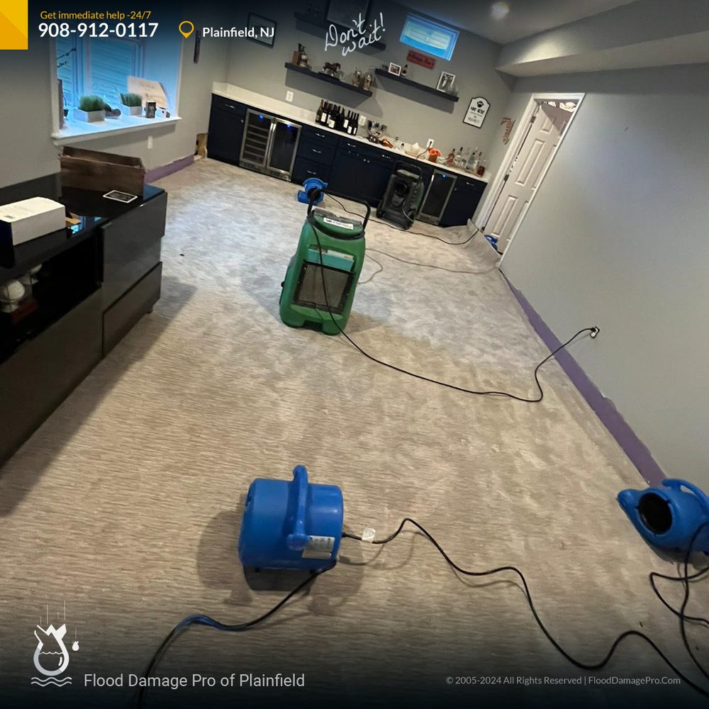 FLOOD DAMAGE PRO - Updated July 2024 - Request a Quote - 10 Photos ...