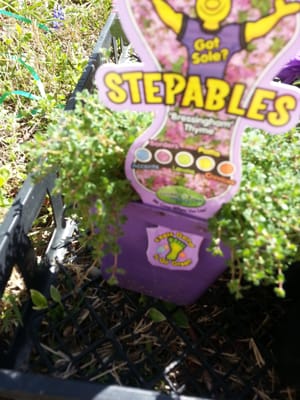 JIM SCOTT COMMUNITY CENTER - Updated September 2025 - 20 Photos - 3001 ...