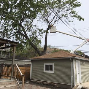 COUNTY TREE SERVICE - Updated October 2025 - 230 Photos & 394 Reviews ...