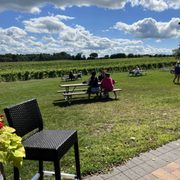 RUSTIC ROOTS WINERY - 56 Photos & 17 Reviews - 20168 St Croix Trl N ...