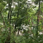 THE JUG HANDLE INN - 443 Photos & 615 Reviews - Bars - 1018 S ...