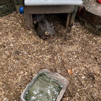 TWO TAILS RANCH - Updated December 2025 - 125 Photos & 94 Reviews ...