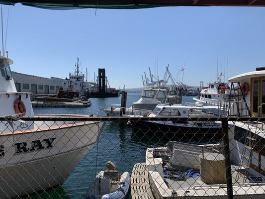 BERTH 55 FISH MARKET AND SEAFOOD DELI - 1381 Photos & 773 Reviews ...