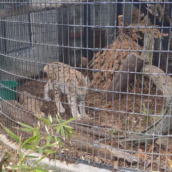 MILL MOUNTAIN ZOO - Updated July 2024 - 77 Photos & 29 Reviews - 2404 ...