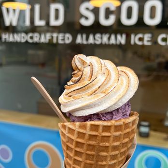 WILD SCOOPS - TEMP. CLOSED - 369 Photos & 334 Reviews - 429 E St ...