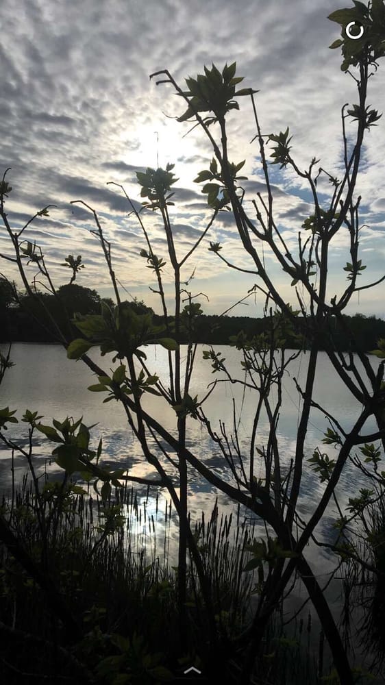 ELL POND PARK - Updated December 2025 - 24 Photos - Main St & Lebanon ...