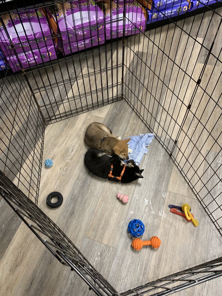 PAT’S PETS - Updated October 2025 - 19 Photos & 16 Reviews - 6501 Grape ...