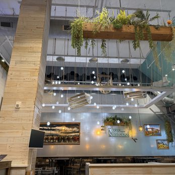 SLAPFISH - Updated January 2026 - 276 Photos & 151 Reviews - 11547 Yard ...