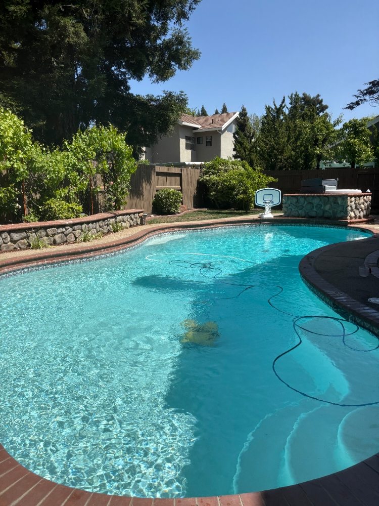 POOL KNIGHT POOL SERVICE - Updated August 2025 - 63 Photos - Arden ...
