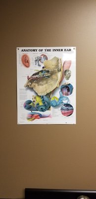 RANDALL T WEINGARTEN MD - Updated January 2026 - 26 Photos & 178 ...