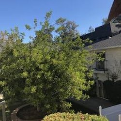 MADISON GROVE POST ACUTE - 56 Photos & 54 Reviews - Physical Therapy ...