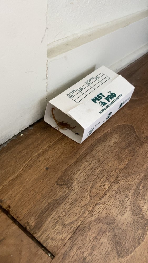 REDPOINT TEMPE - Updated January 2026 - 67 Photos & 92 Reviews - 708 S ...