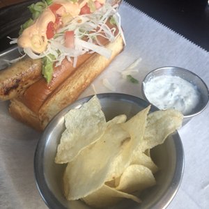 DESTINATION DOGS - 1550 Photos & 1188 Reviews - 101 Paterson St, New ...