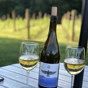 CARDINAL POINT VINEYARD & WINERY - 73 Photos & 47 Reviews - Wineries ...