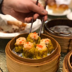 AROMA DIM SUM - Updated May 2025 - 52 Photos & 14 Reviews - 5149 ...