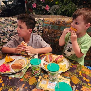 RAINFOREST CAFE - 439 Photos & 599 Reviews - 5000 S Arizona Mills Cir ...